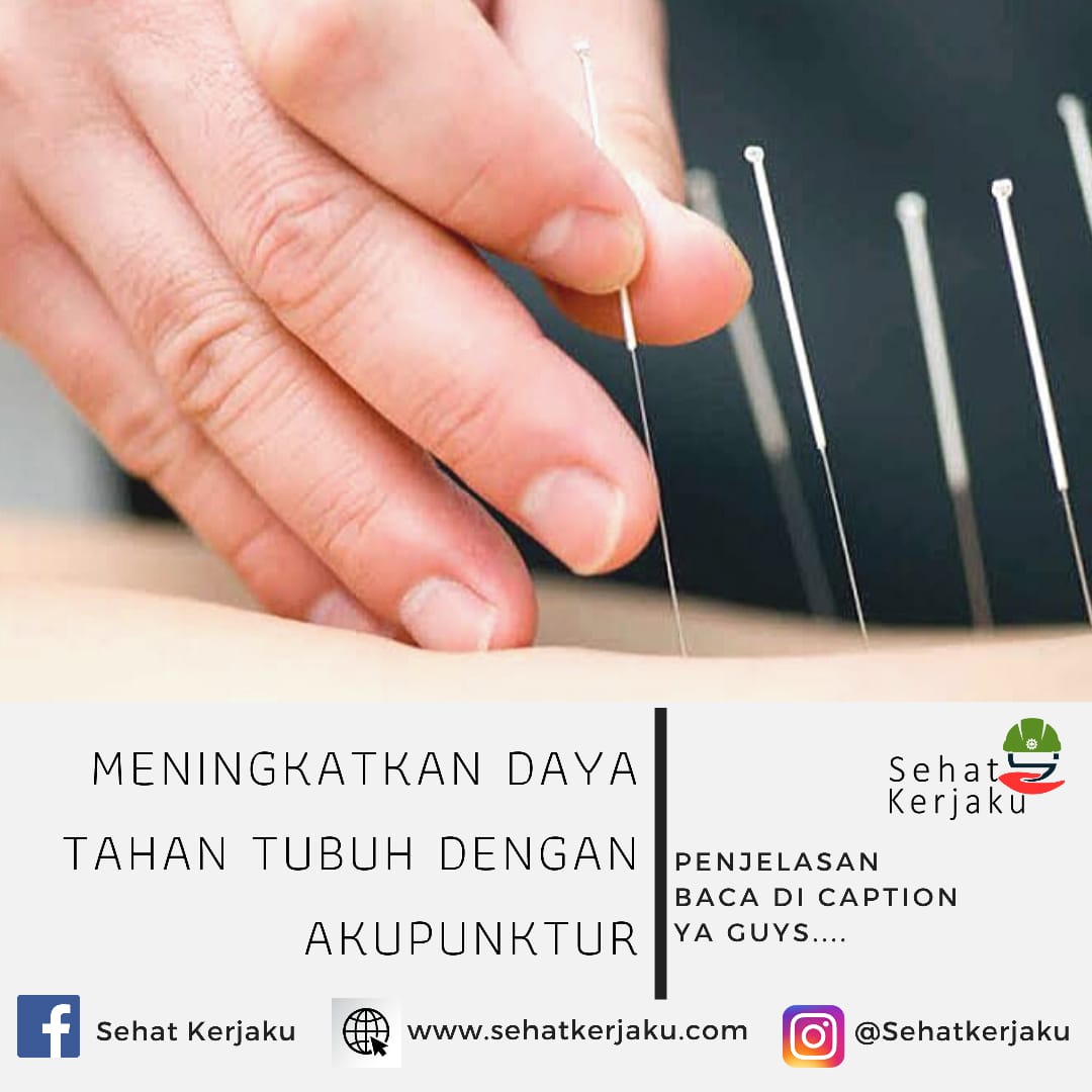 MENINGKATKAN DAYA TAHAN TUBUH DENGAN AKUPUNKTUR MENINGKATKAN DAYA TAHAN TUBUH DENGAN AKUPUNKTUR